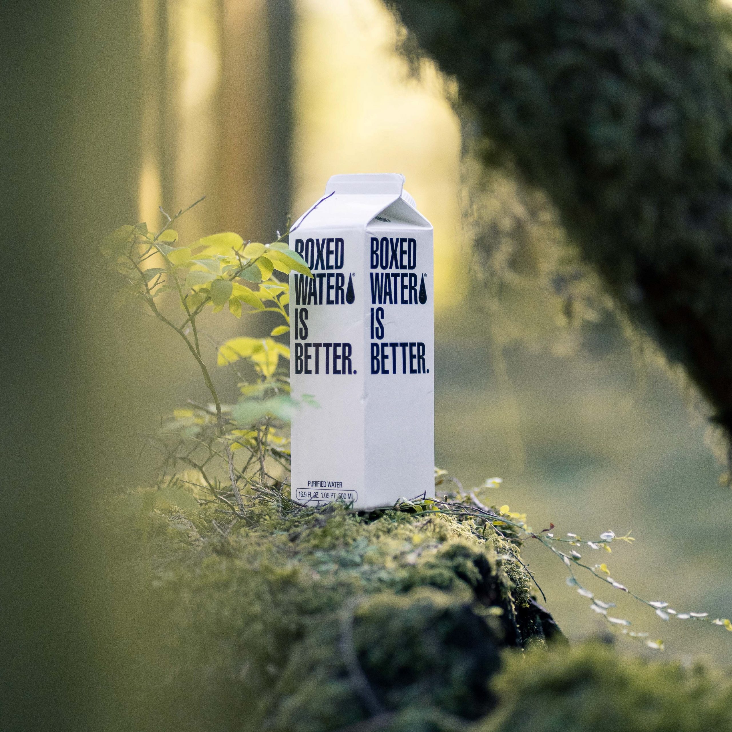 The Future of Design: Sustainably Designed Products - Cornelius Creative